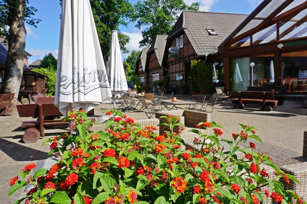 Behringer Heide - ein Geheimtipp in der Lüneburger Heide - Urlaubshappen