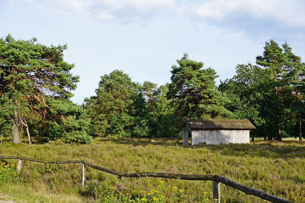 Behringer Heide - ein Geheimtipp in der Lüneburger Heide - Urlaubshappen